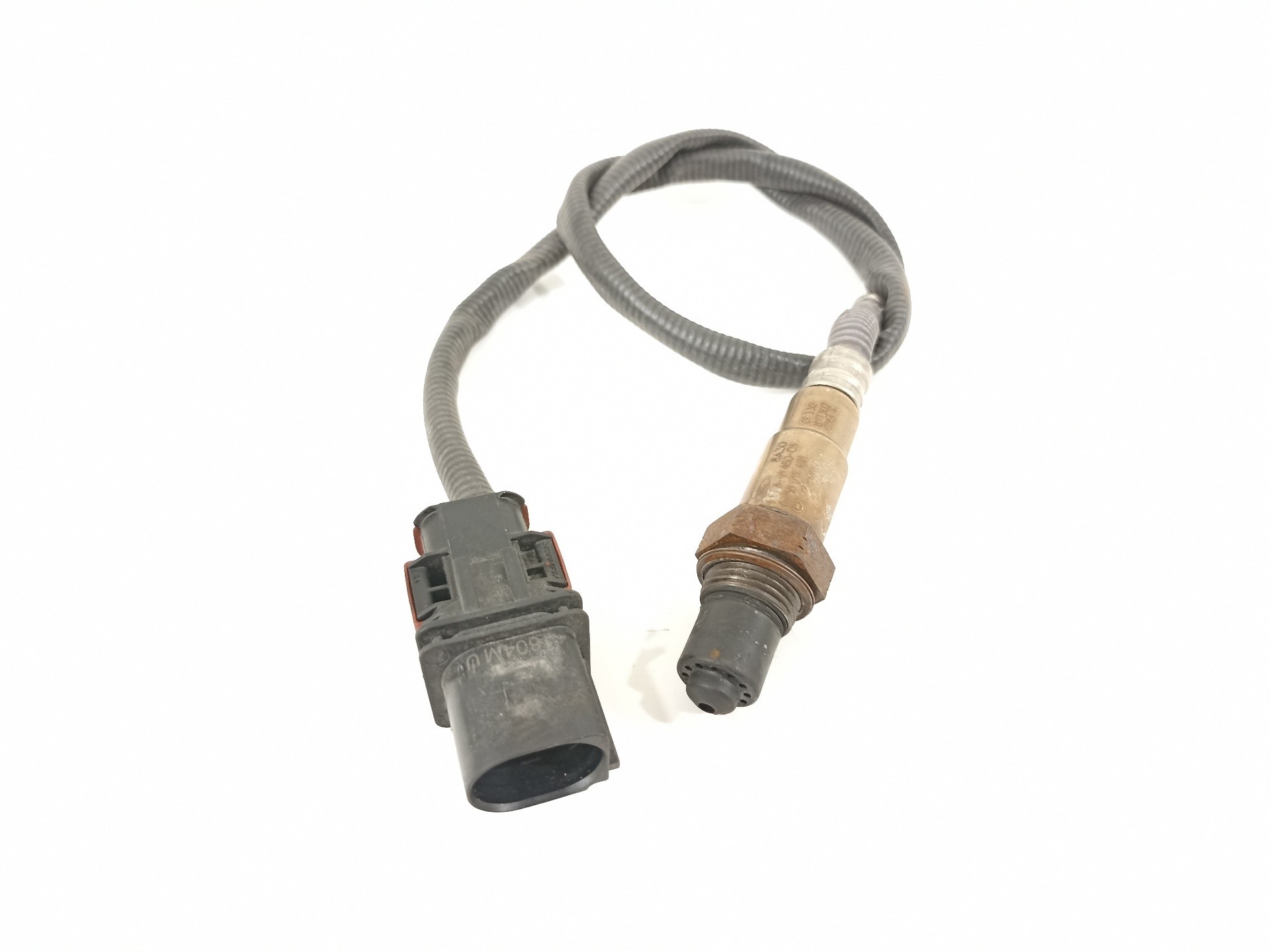 F1FA9Y460CA SONDE LAMBDA / 5565529 POUR FORD FOCUS TURN. ST-LINE B&R | eBay